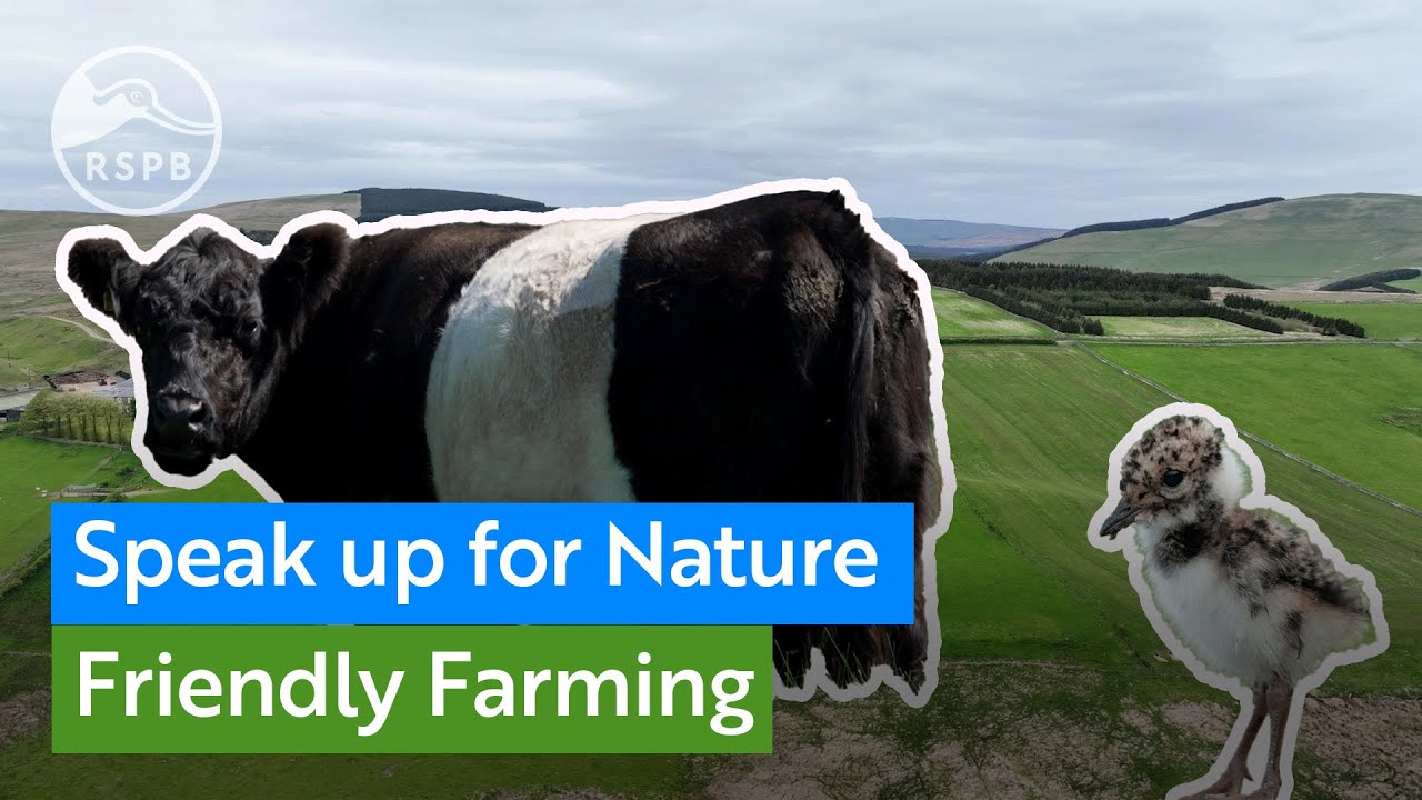 Support RSPB Scotland's campaign to boost nature friendly farming - YouTube