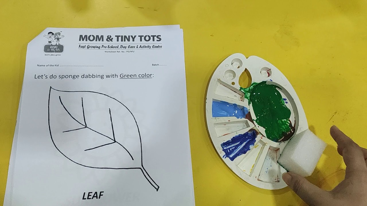 Leaf sponge - YouTube