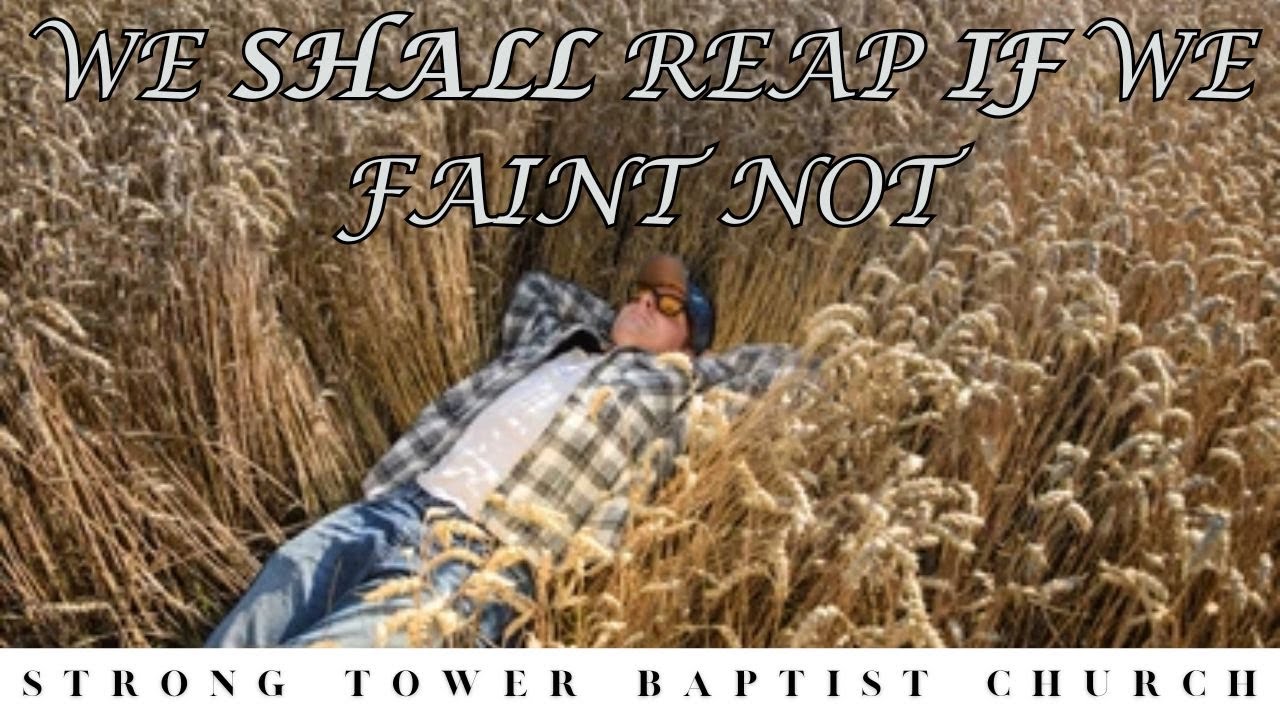 We Shall Reap If We Faint Not | STBC - YouTube