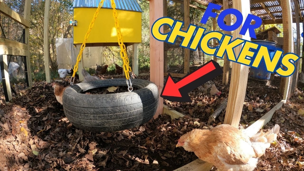 How to Build a Chicken Tire Swing - YouTube