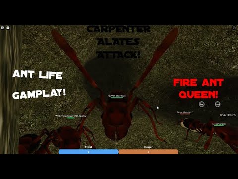 I Played as the Fire Ant Queen! (Roblox Ant Life) - YouTube