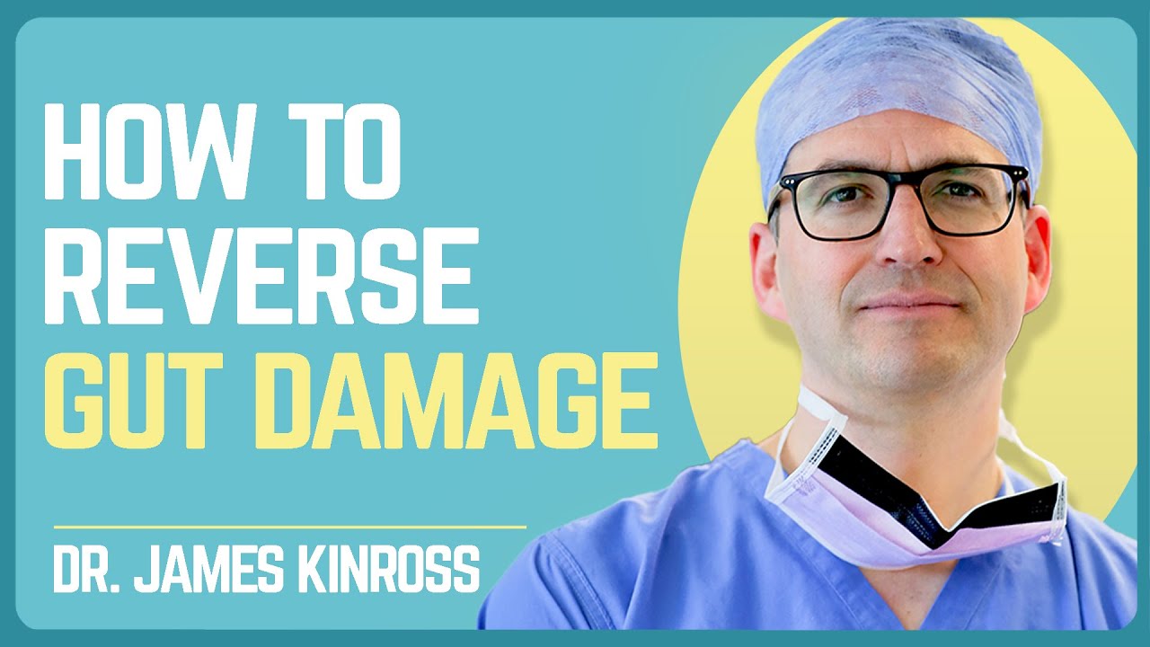 How To Fix Leaky Gut Improve Health And Stop Cravings Dr James