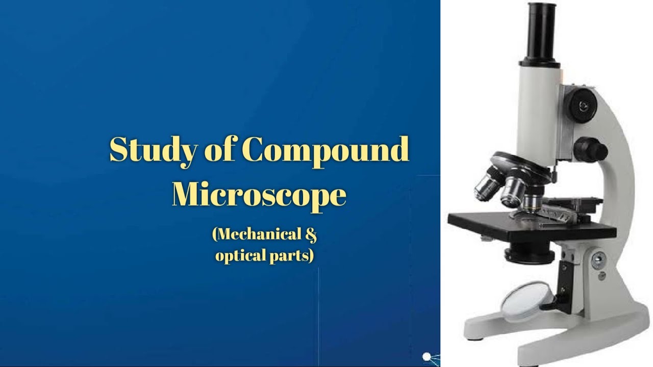 Compound Microscope, Practical write up, parts, Magnification by Dr ...