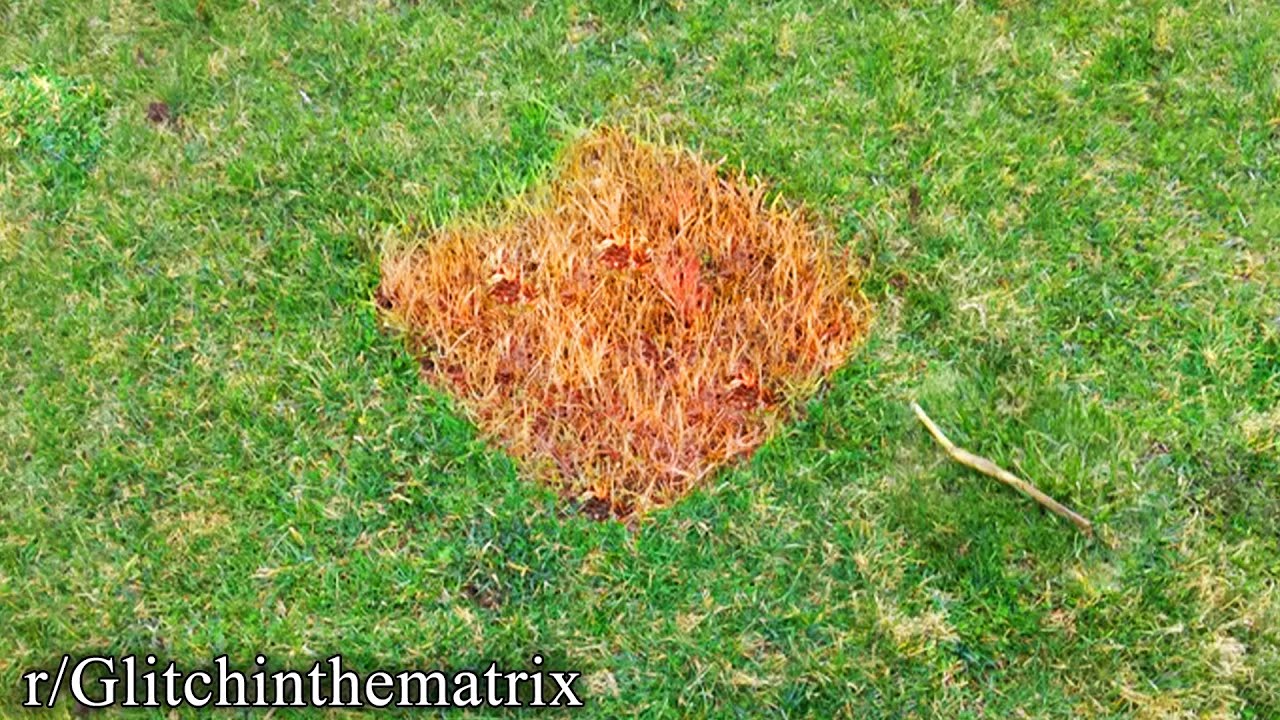 r/Glitchinthematrix | touch grass? - YouTube