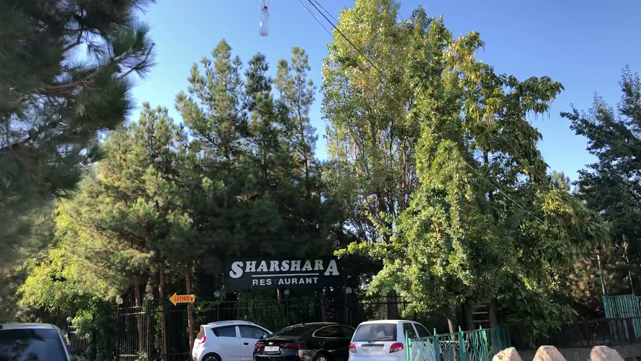 Sharshara restaurant Tashkent Uzbekistan 🇺🇿 مطعم شرشره في تشكند - YouTube