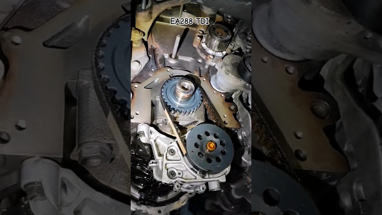 EA288 1 6 2 0 TDI l Pumpen Zahnriemen YouTube EA288 1 6 2 0 TDI l Pumpen Zahnriemen YouTube