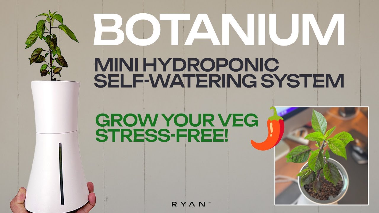 I Tried the BOTANIUM SYSTEM for Growing Lila Luzi Peppers 🌶️ Here's My ...