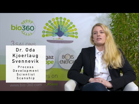 Oda Svennivik - VOW - Biochar for biogas - 2020 - YouTube