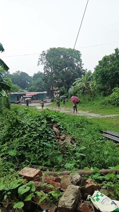 Webdevelopment Reactjs Mernstack Tailwindcss Frontenddevelopment Coding Webdesign