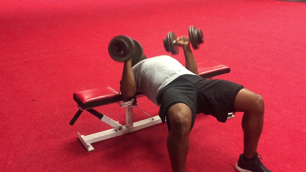 Bridge DB Press - YouTube