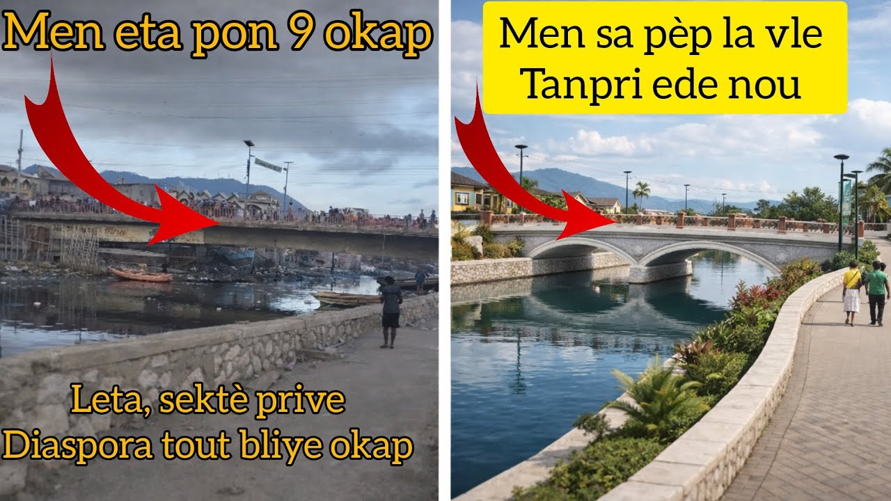 Tout moun bliye pon 9 okap ; leta, sektè prive, diaspora, sosyete sivil ...