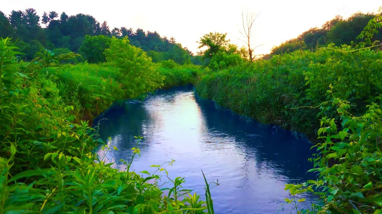 Evening ambience. Peaceful river flowing. Running water and nature ...