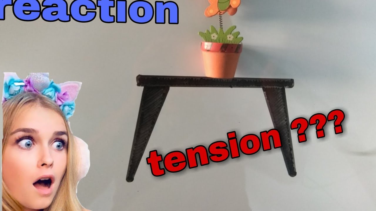 NORMAL REACTION, TENSION AND COMPONENTS OF FORCE. PHYSICS class 11 ...