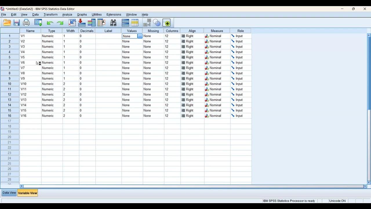 Setting Up the Variable View in SPSS - YouTube
