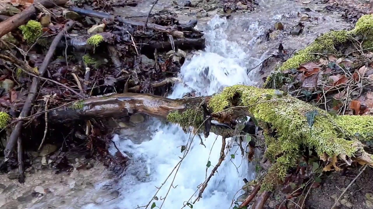 1 Hour Of Relaxing Water Sound, Peaceful Raging Water Flow ( No Sound ...