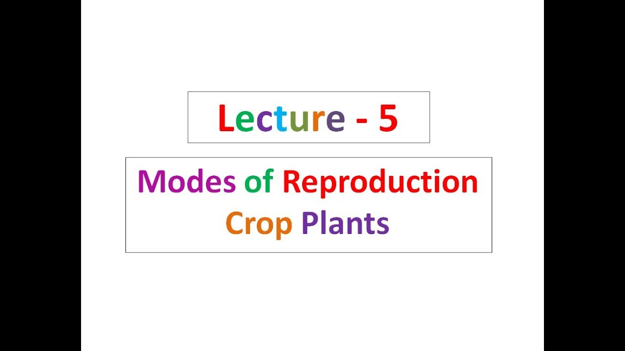 Lecture - 5 Plant Breeding - YouTube
