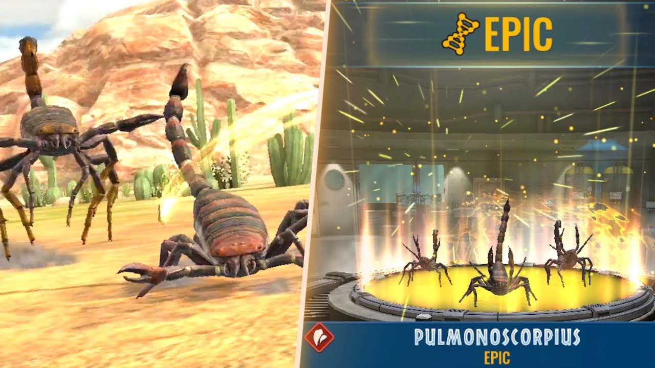 JWA : Pulmonoscorpius Showcase - YouTube