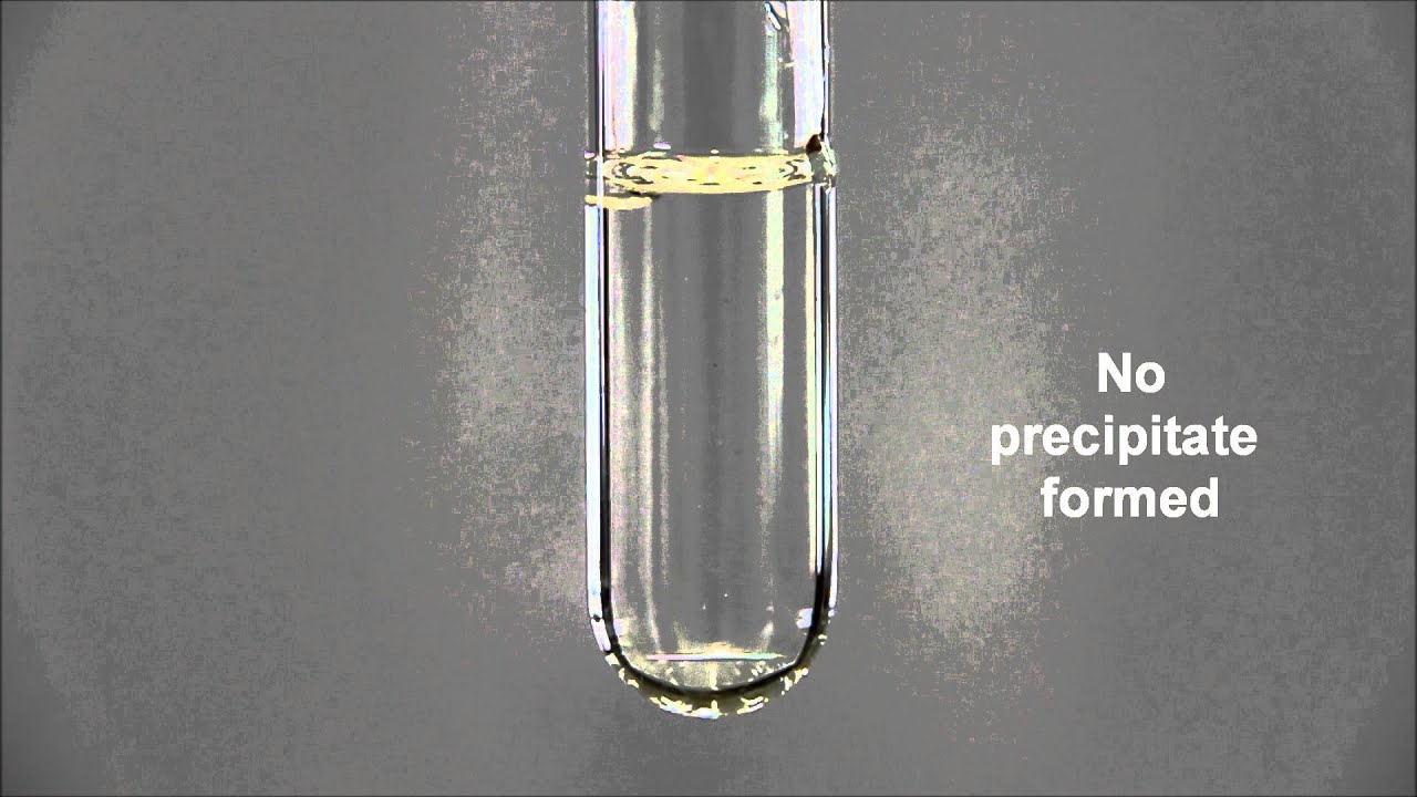 Test for Cation: Test for Calcium (II) ion with Aqueous Ammonia - YouTube