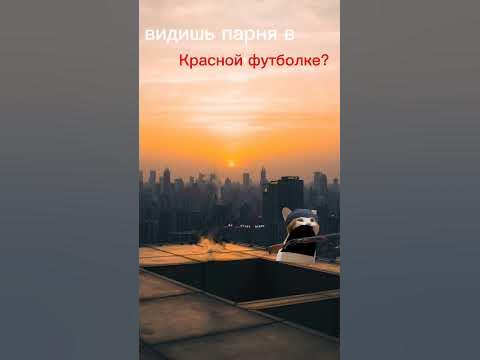 сталкер поп кет - YouTube