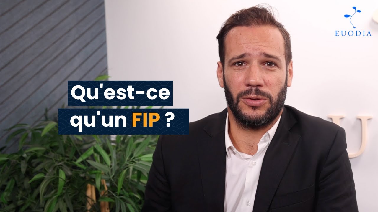 Qu'est-ce qu'un FIP ? - YouTube