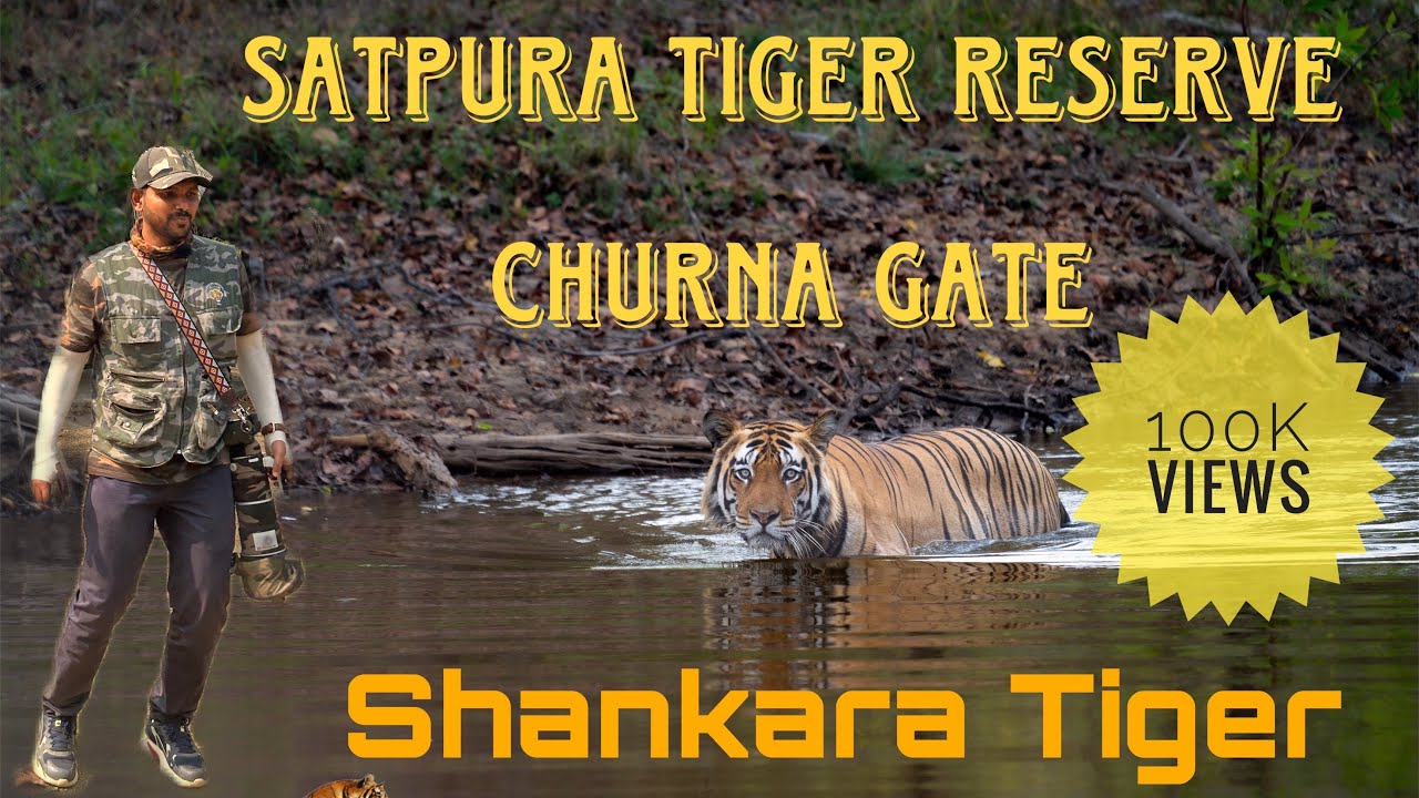Encountering Shankara tiger : Day 2 Safari at Satpura Tiger Reserve ...