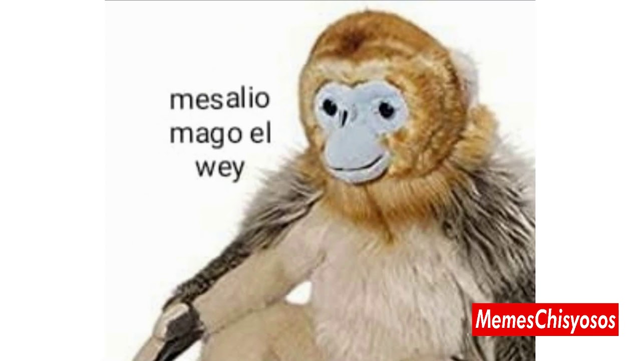 Me Salió Mago El Wey [Meme] - YouTube