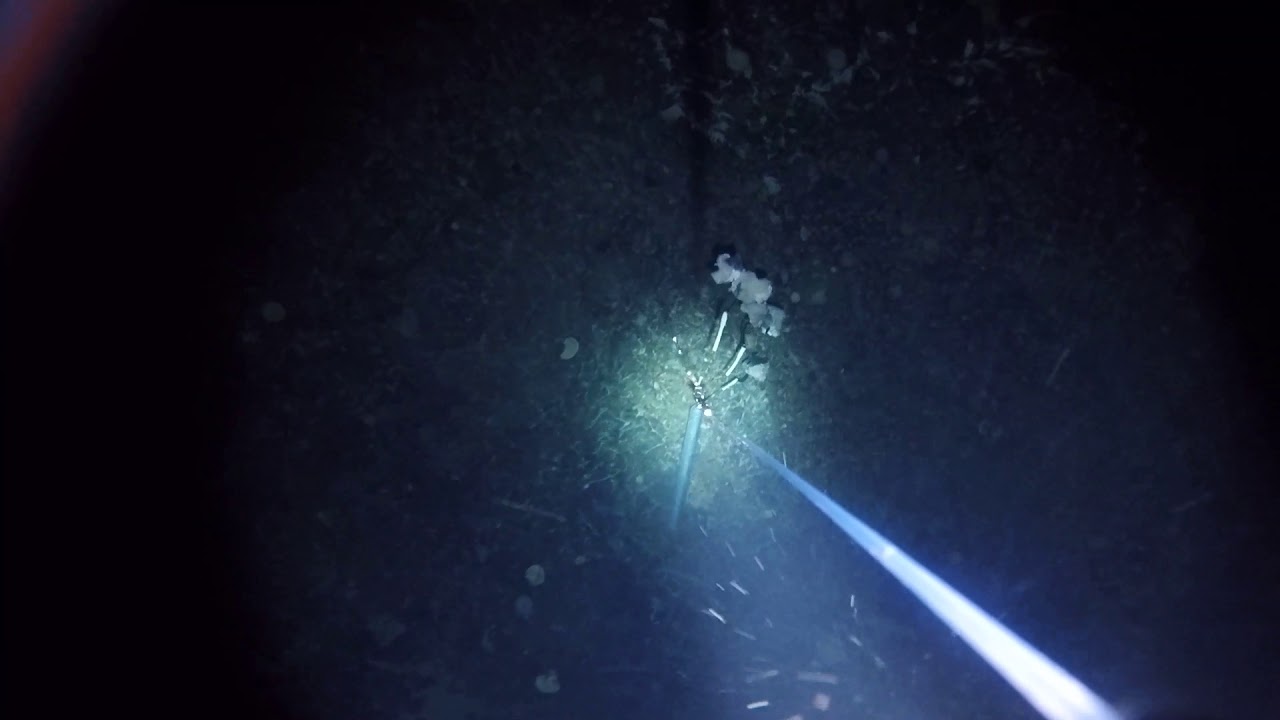 Deep Drop fishing with 100's of Groupers - YouTube