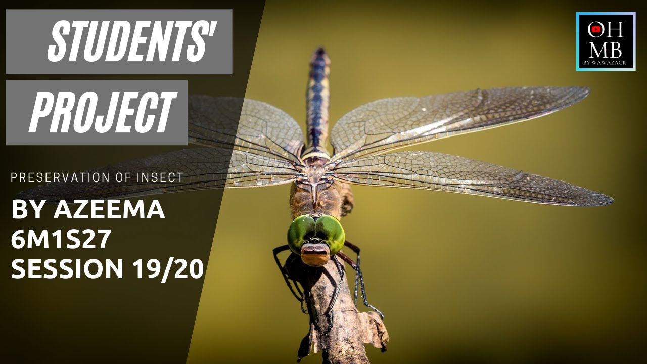 STUDENTS' PROJECT #2: Contest for the Best Arthropods Preservation ...