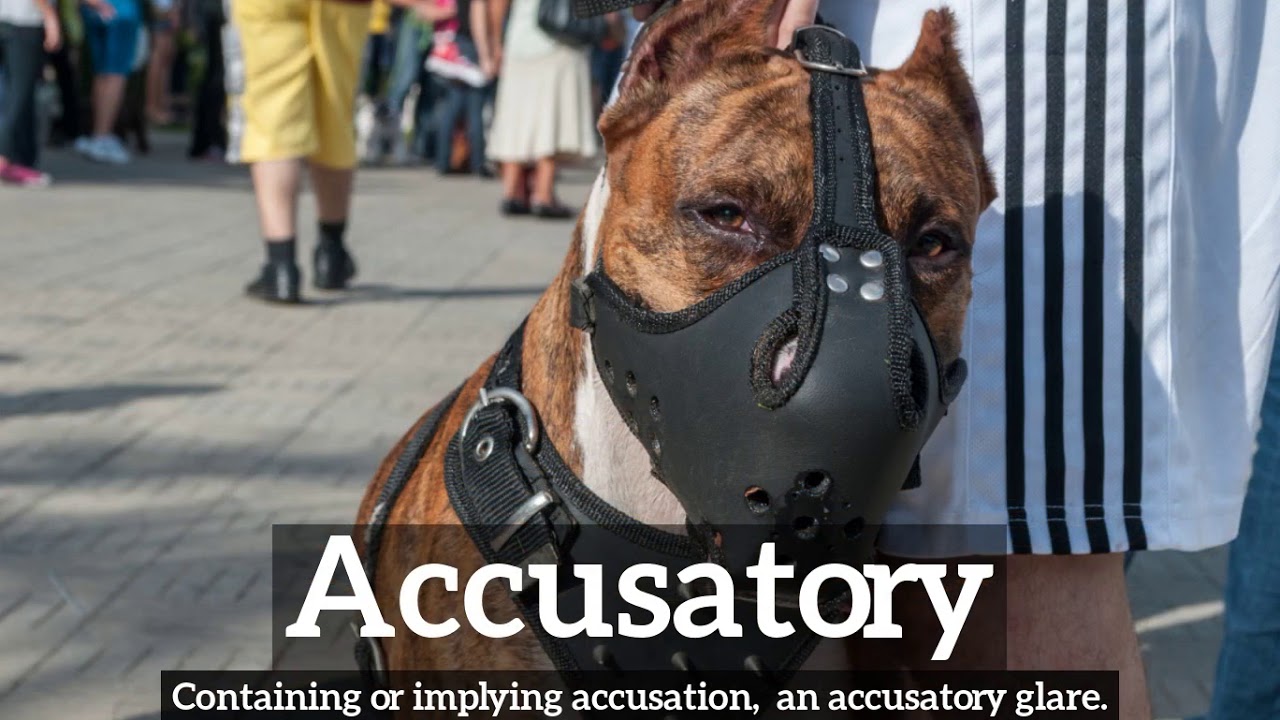 How To Say Accusatory In English How Does Accusatory Look What Is how-to-say-accusatory-in-english-how-does-accusatory-look-what-is
