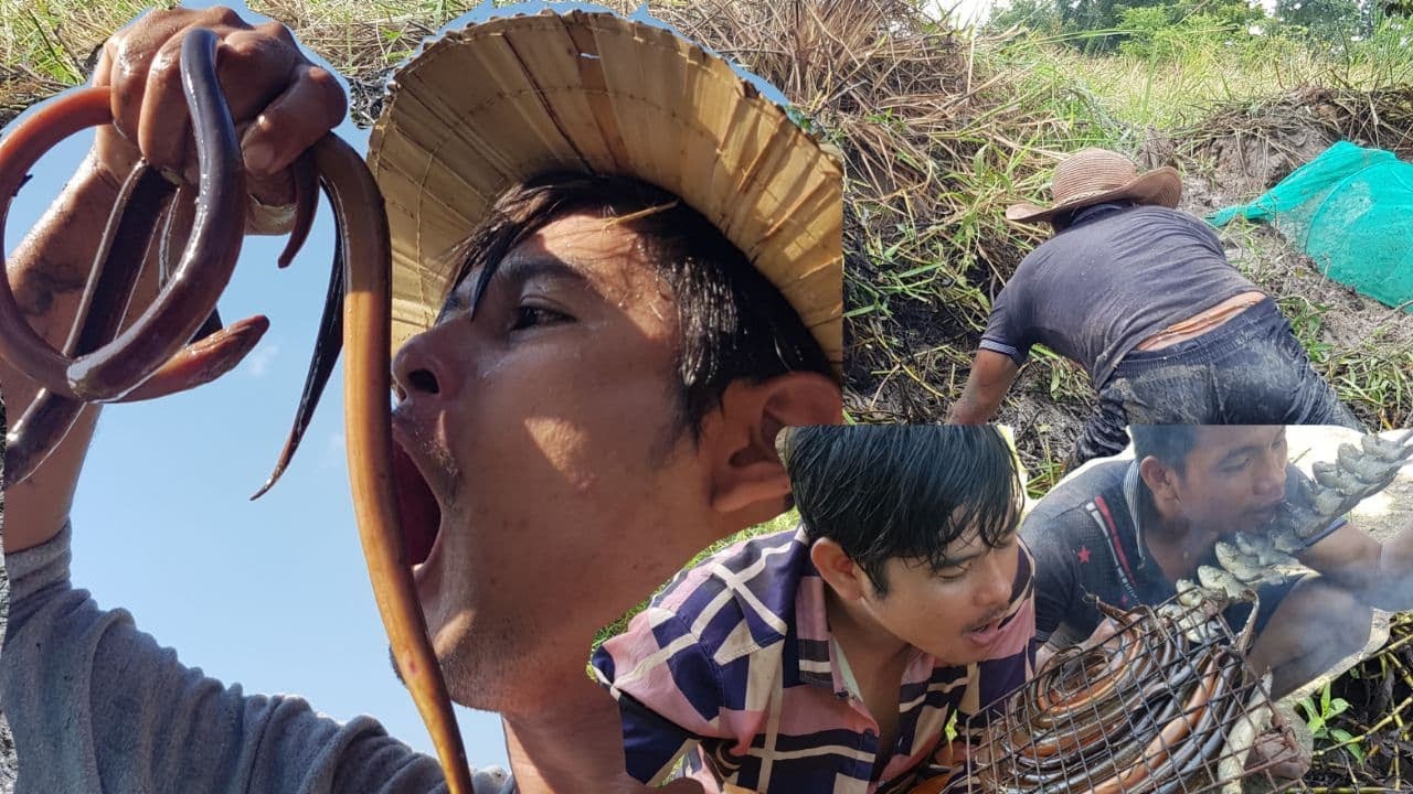 Primitive Technology - Eating Delicious - Grilled & Cooking Eel At ...