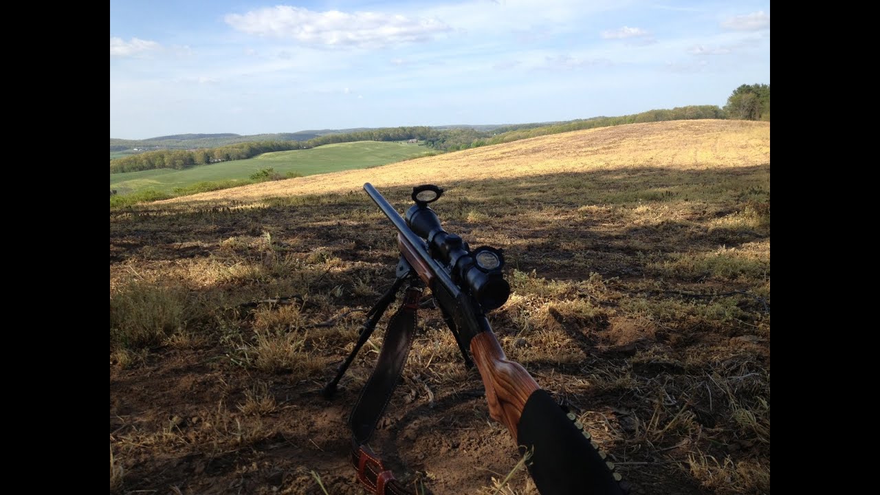 Ground Hog Patrol with H&R Ultra Varmint 223 - YouTube