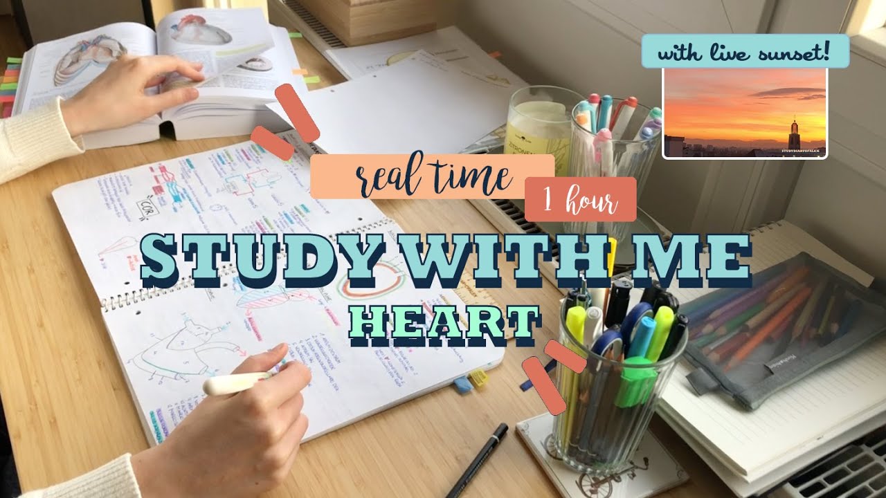 Real time study with me - with live sunset! - YouTube
