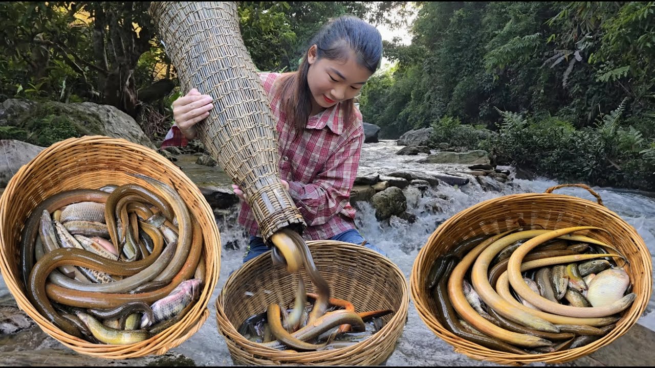 Vietnamese girls use bamboo baskets to catch fish for a living - ha thi ...