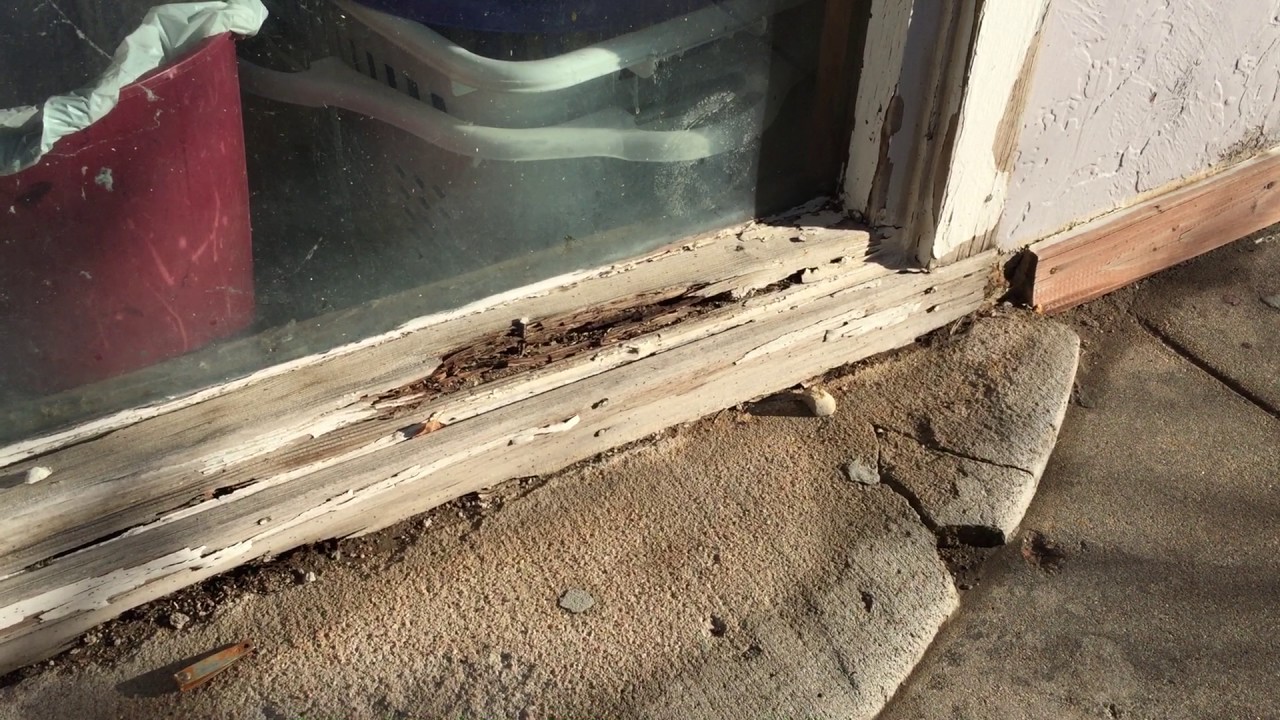 Negative Drainage by Accurate Property Inspection - YouTube