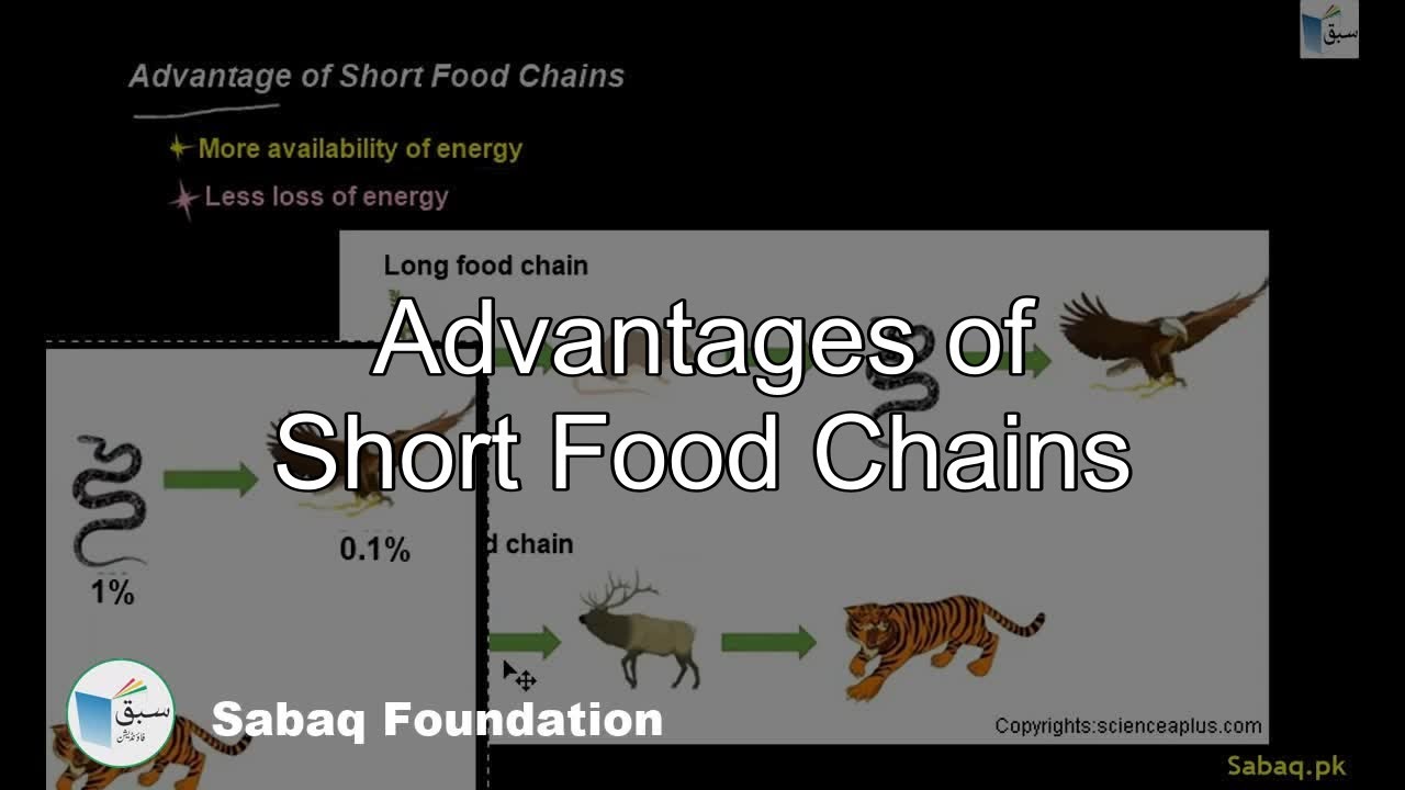 Advantages of Short Food Chains, Biology Lecture | Sabaq.pk - YouTube