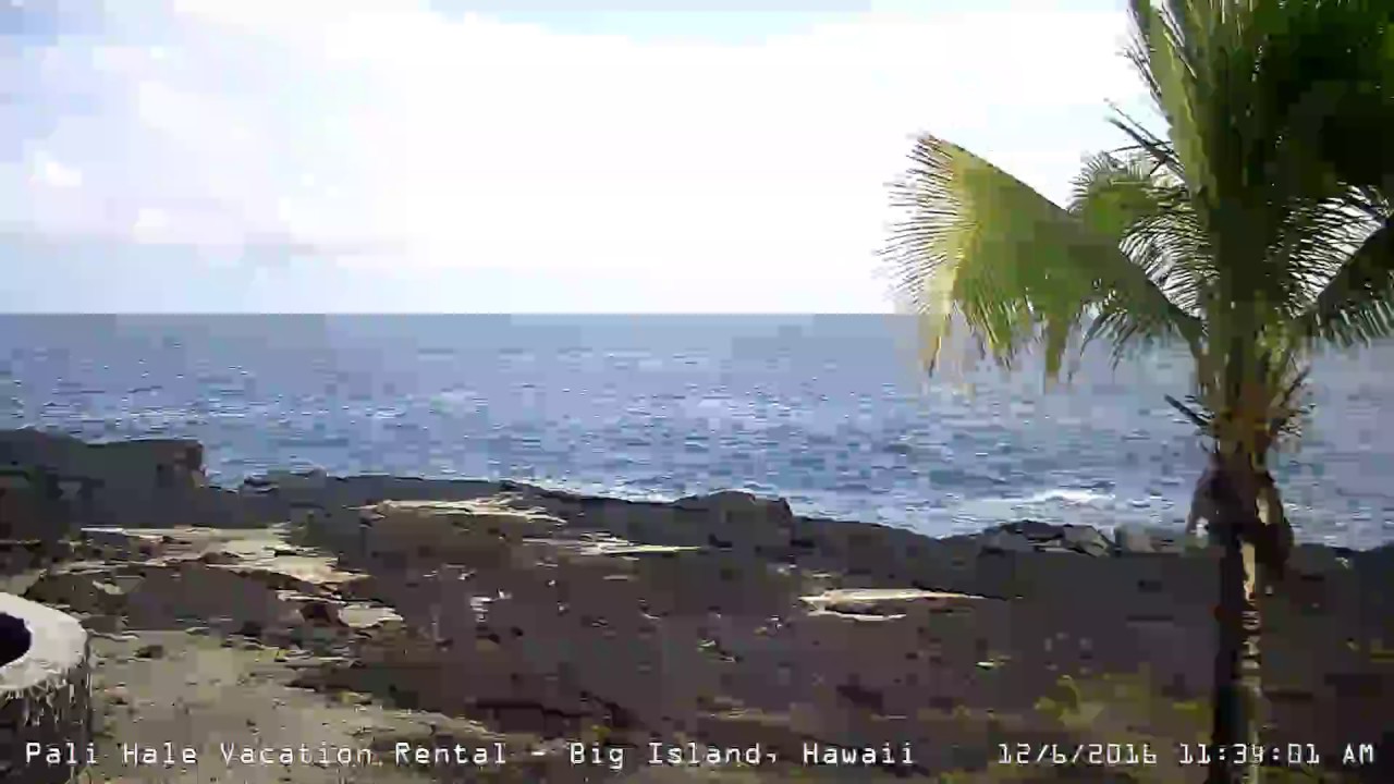 Pali Hale Live Stream from Puna Coast of Kea'au, Big Island Hawaii ...