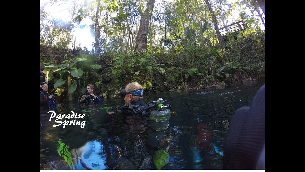 Scuba Diving Paradise Spring - YouTube