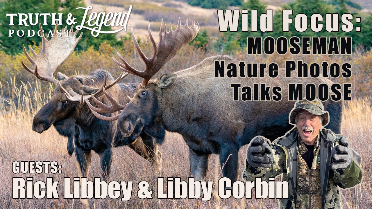 Wild Focus: MooseMan Nature Photos Talks Wildlife Photography, Videography & More - YouTube