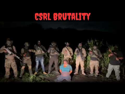 The Ever Changing Cartel Landscape In Michoacán | CSRL Release A Graphic New Video