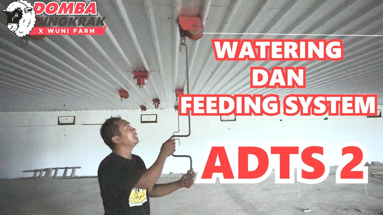 WATERING & FEEDING SYSTEM KANDANG AYAM MODERN - YouTube
