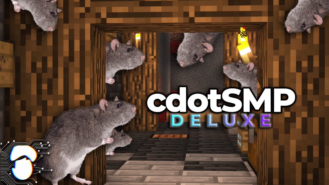 Becoming RATS on my Public Minecraft Server! || Java & Bedrock Edition ...