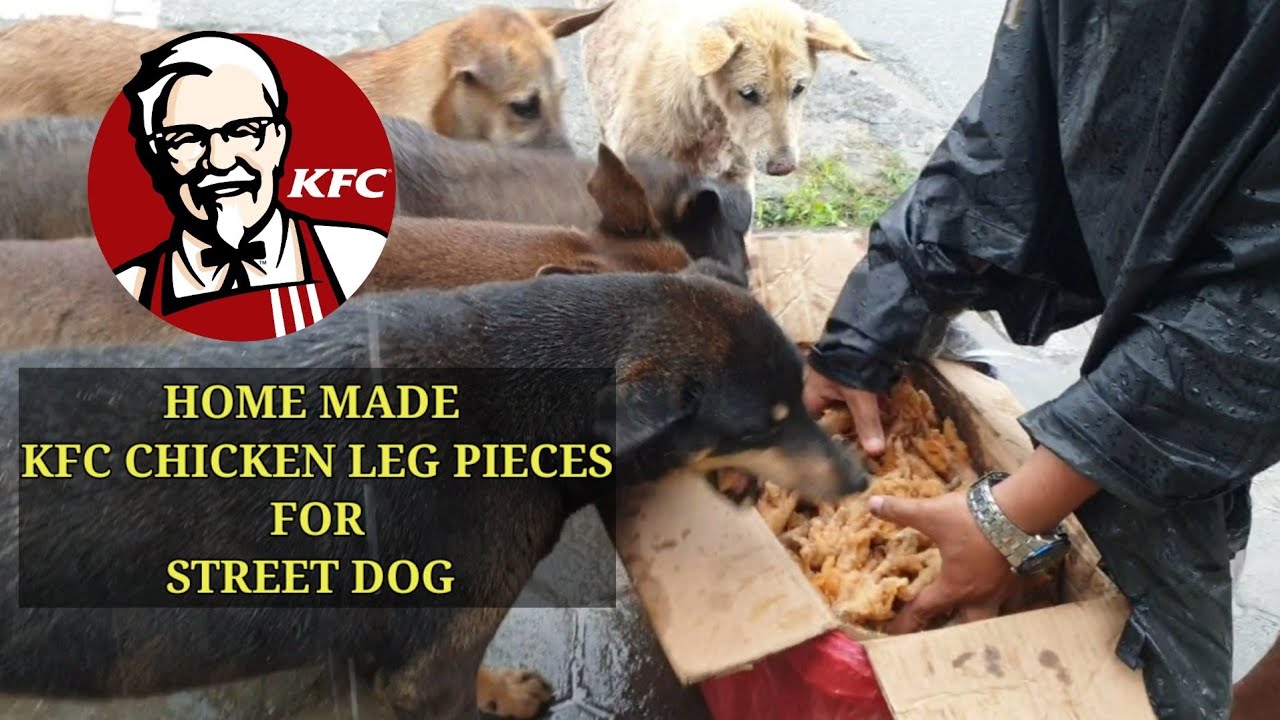 A group of Street dog eat 20 kg chicken leg pieces || Feeding not only ...