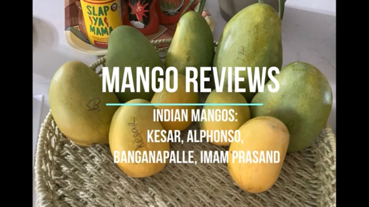 Indian mangos Review: Kesar, Alphonso, Banganapalle, Imam pasand (the ...