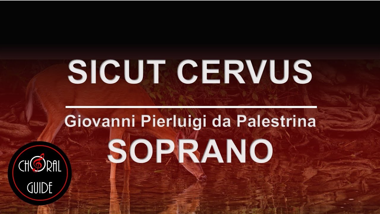Sicut Cervus - SOPRANO | GP Palestrina - YouTube