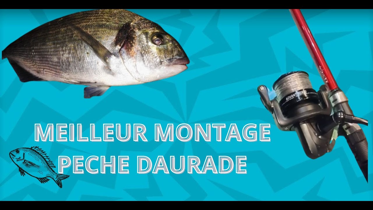 meilleur montage peche a la daurade - YouTube