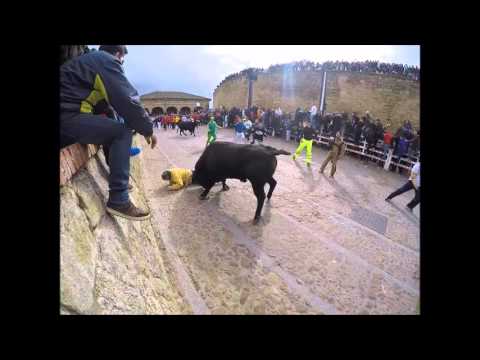 Cogida carnaval del toro Ciudad Rodrigo 2016