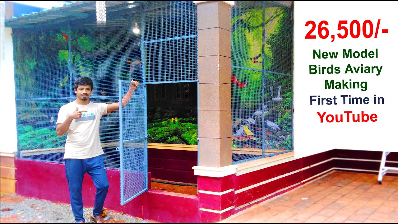 Making Beautiful Aviary For My Birds | How To Make Perfect Birds Aviary ...