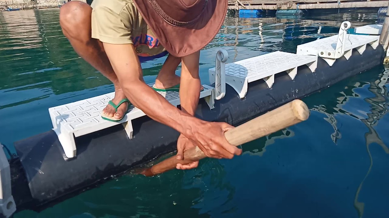 PERAWATAN KERAMBA JARING APUNG - YouTube