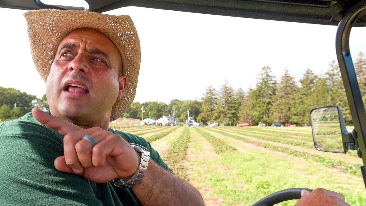 "Look at that Okra!" - Thera Farms Tour - Long Island NY - YouTube