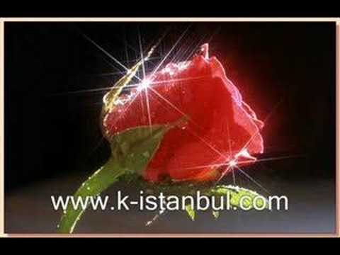 Gel Gör Beni Aşk Neyledi